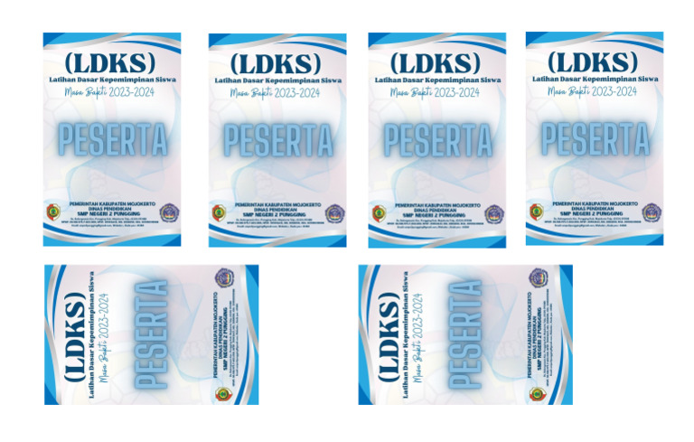 Id Card Ldks | PDF