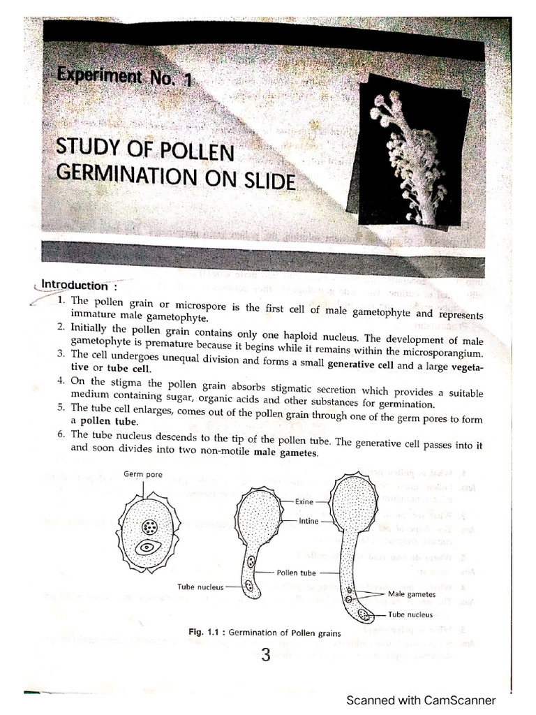 Biology Lab Note Book | PDF Biology Lab Note Book | PDF