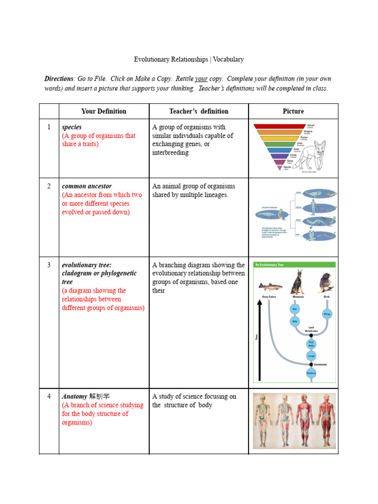 Mia, Huang Lesson 27 Vocabulary - Evolutionary Relationships - Science ...