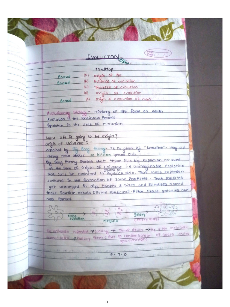 Evolution Class 12 Notes | PDF