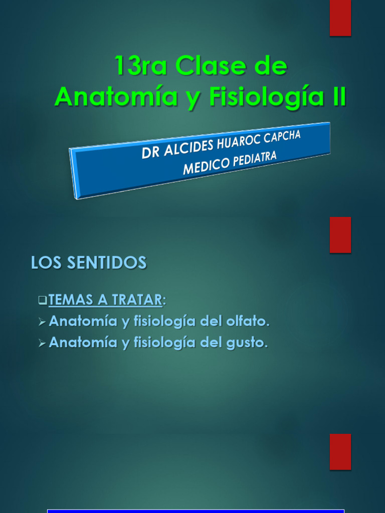 13.-Anatomía de La Olfato y Gusto | PDF | Gusto | Órgano (anatomía)