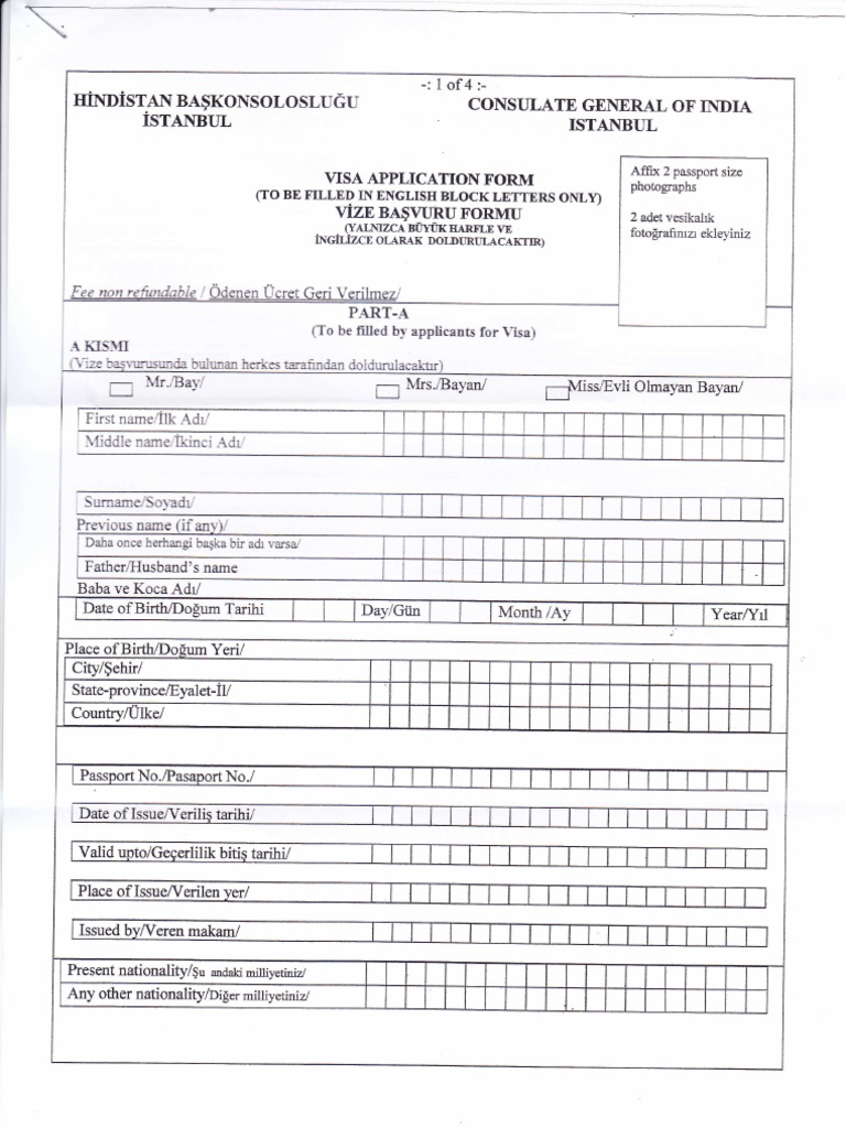 Indian Visa Application Form | PDF | Travel Visa | Cultural Globalization