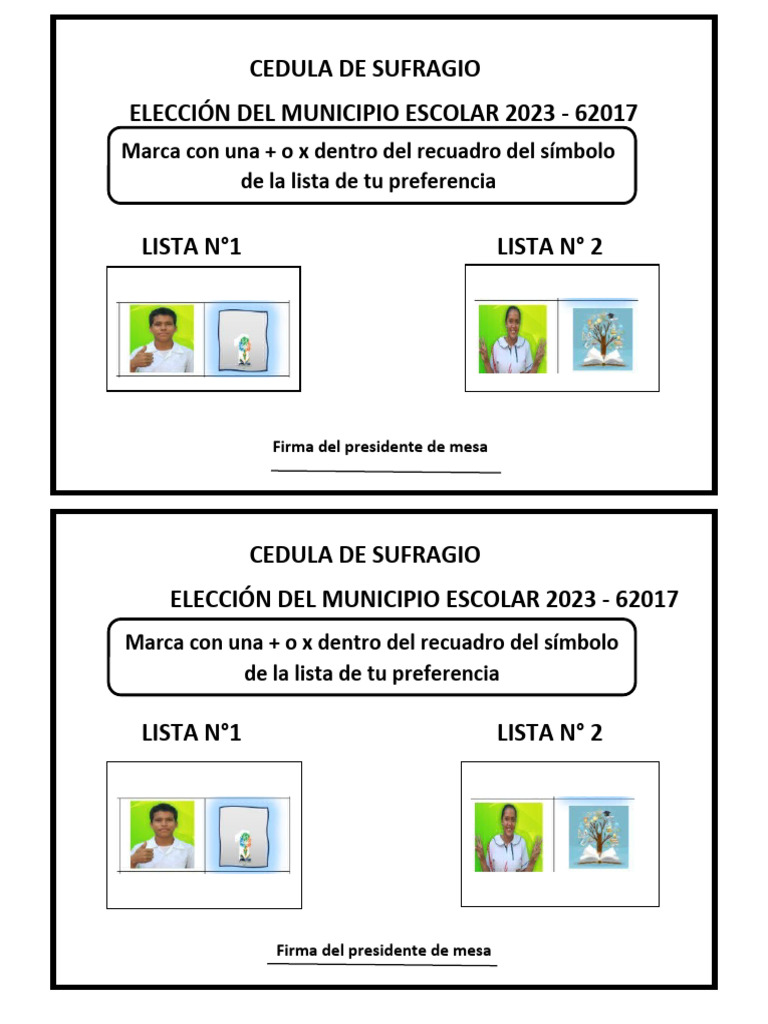 Cedula de Sufragio | PDF