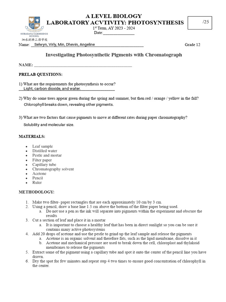 Kami Export - LAB Chlorophyl Chromatography | PDF | Photosynthesis ...