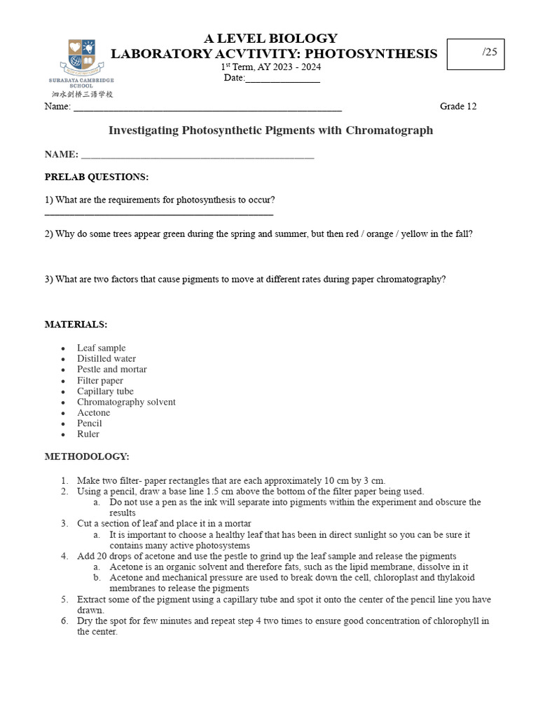 LAB Chlorophyl Chromatography | PDF | Chromatography | Photosynthesis