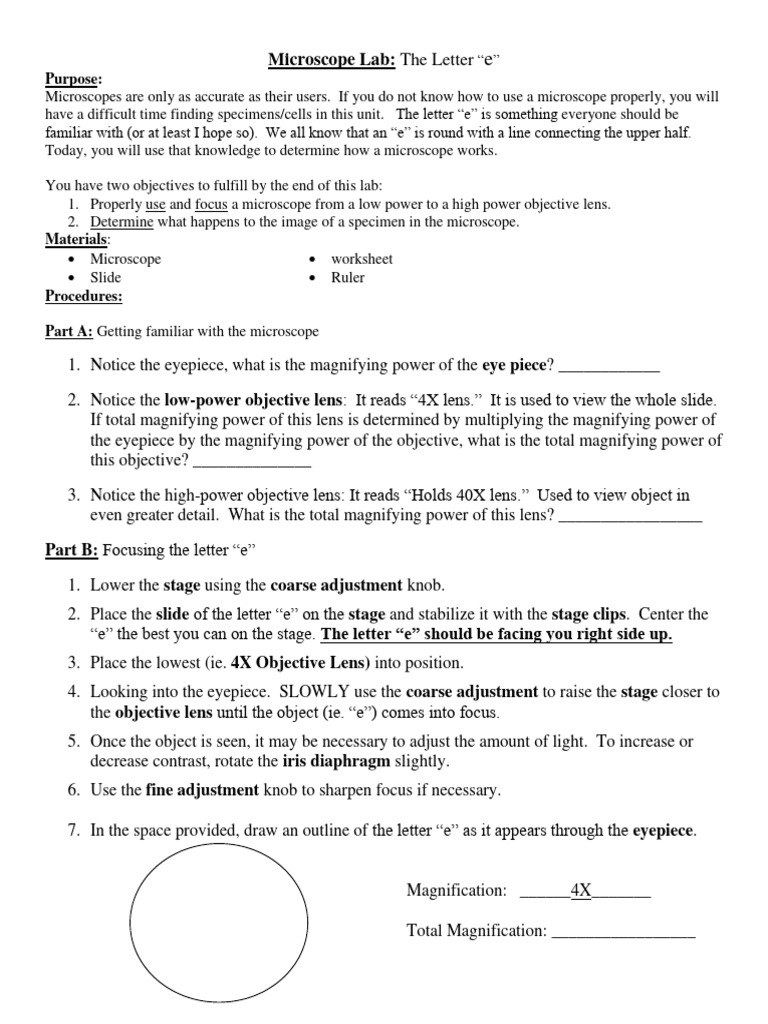 Microscopes Letter e | PDF | Physical Sciences | Atomic