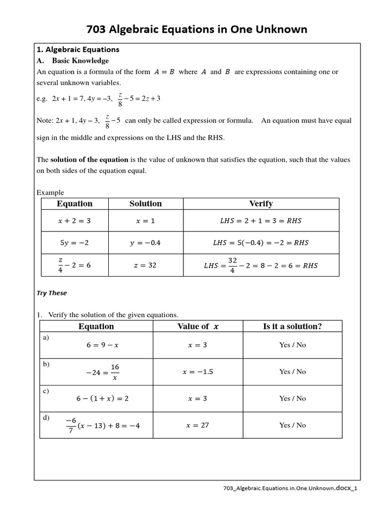 Solving Algebraic Equations 101 | PDF | Equations | Applied Mathematics