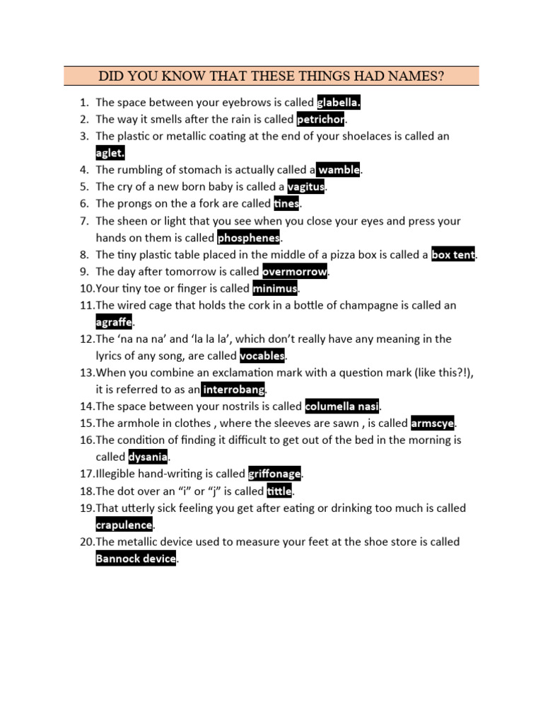 Names of Everyday Things Explained | PDF | Foreign Language Studies