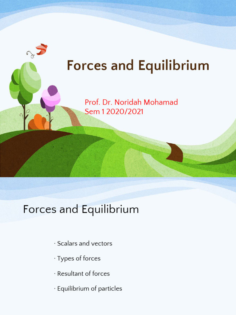 Forces and Equilibrium Guide | PDF | Euclidean Vector | Force
