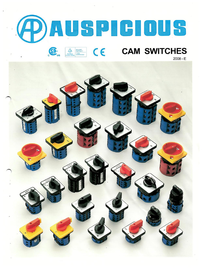 Auspicious CAM Switch | PDF