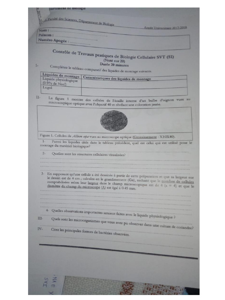 1.examens Biologie Cellulaire S1 | PDF