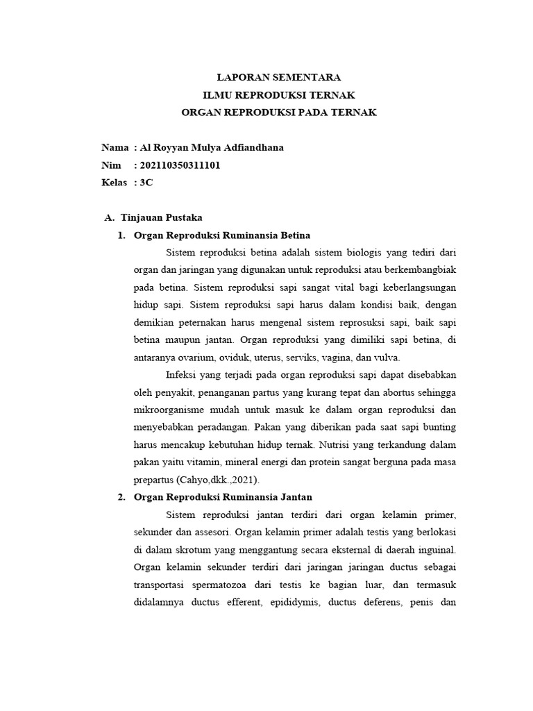 Format Laporan Irt Pertemuan 2 | PDF