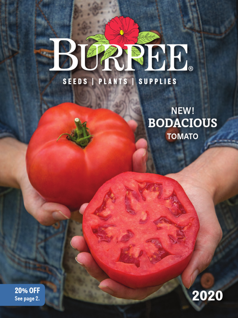 Yaik | PDF | Tomato | Fruit