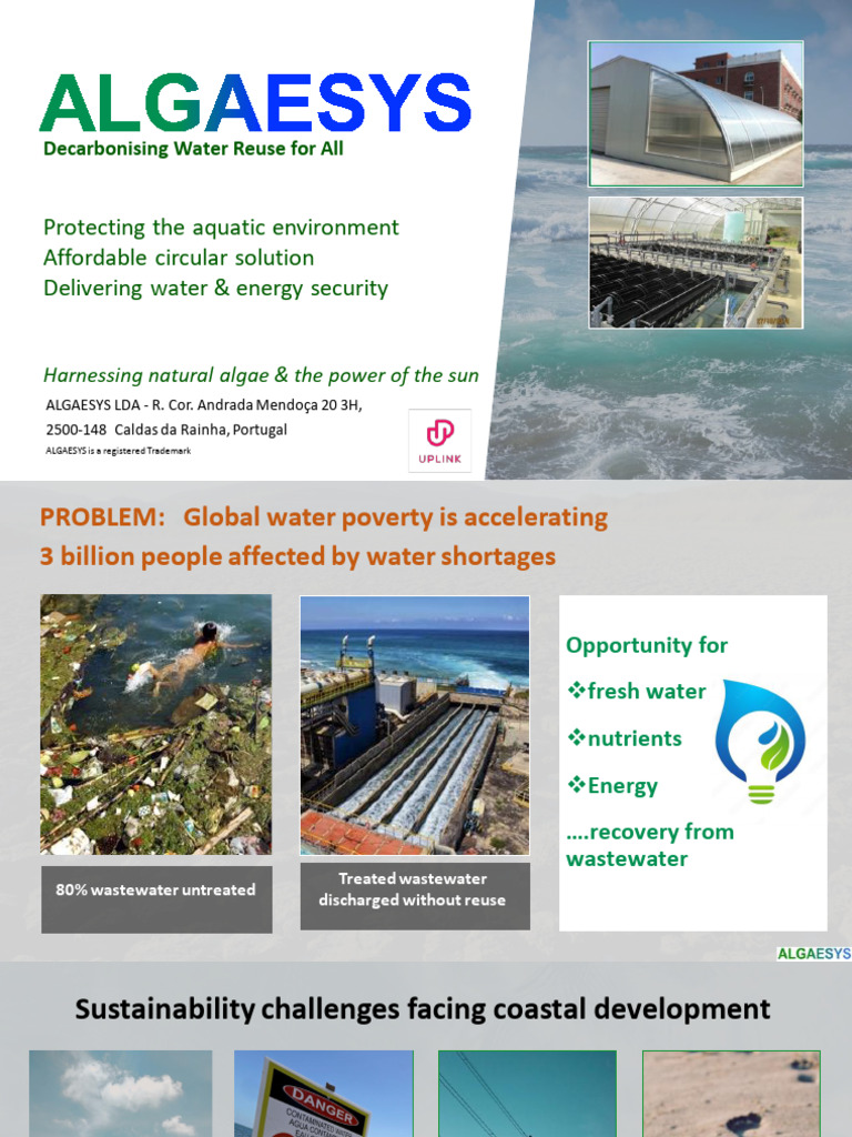 Algaesys AsrilSattar Jl30jul22 | PDF | Water | Aquaculture