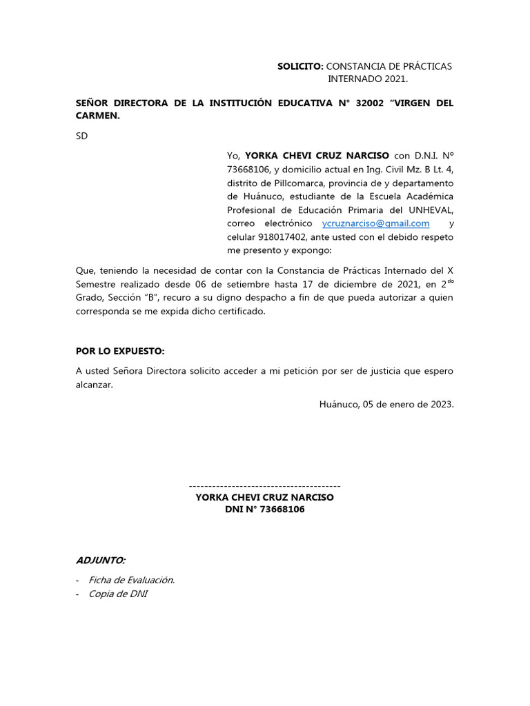 Solicitud de Prácticas Internado | PDF
