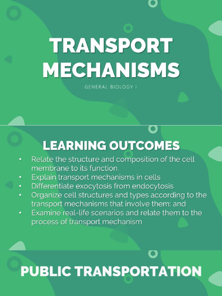 Cell Mechanism | PDF