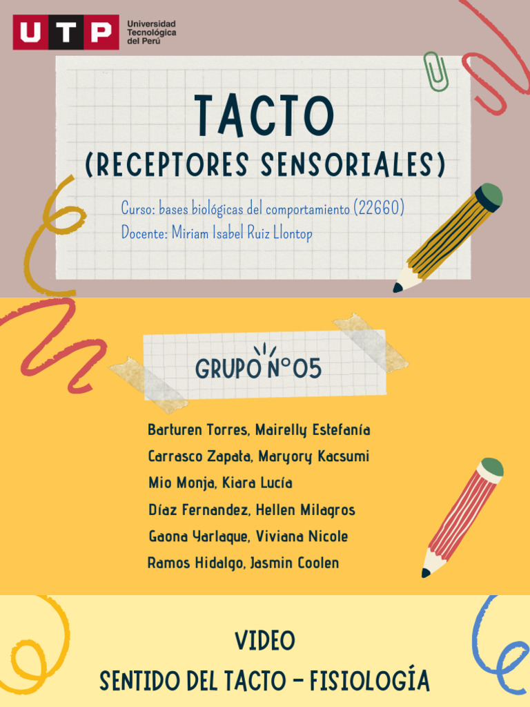 Tacto (Receptores Sensoriales) | PDF | Sistema somatosensorial | Cerebro