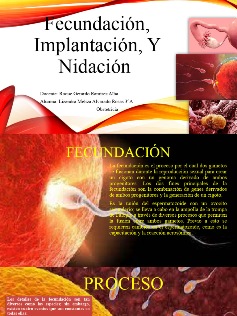 Fecundación, Implantación, y Nidación | PDF | Reproducción humana | Reproducción
