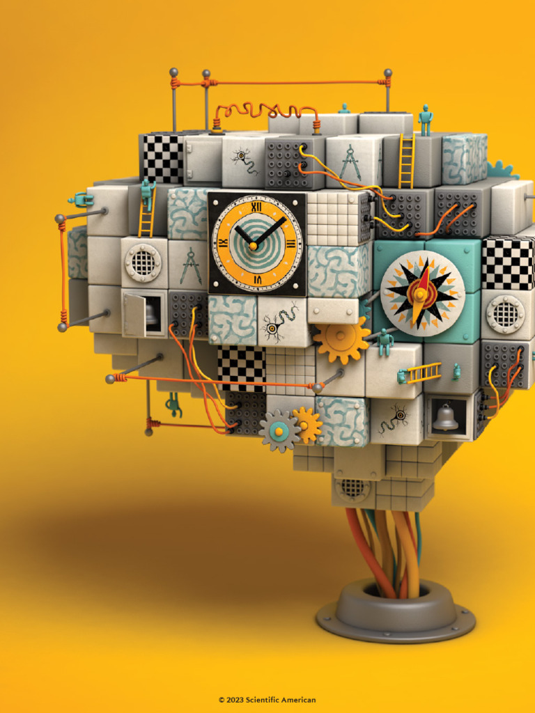 The Brain S Social Road Maps | PDF | Hippocampus | Memory