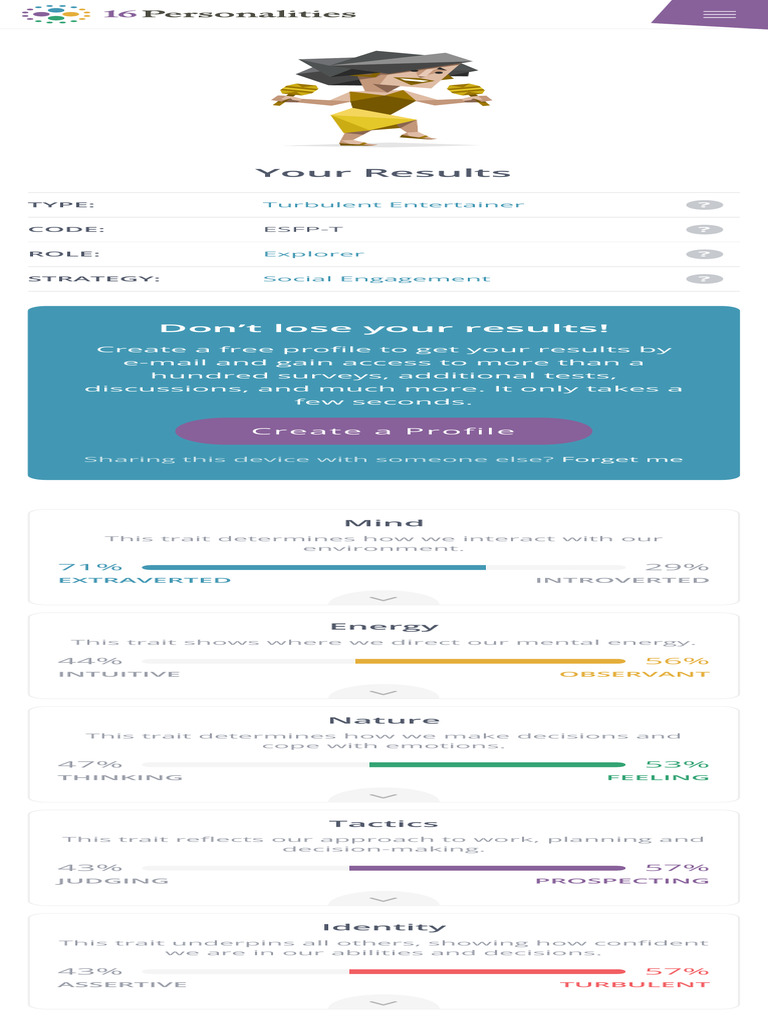 Your Profile 16personalities | PDF
