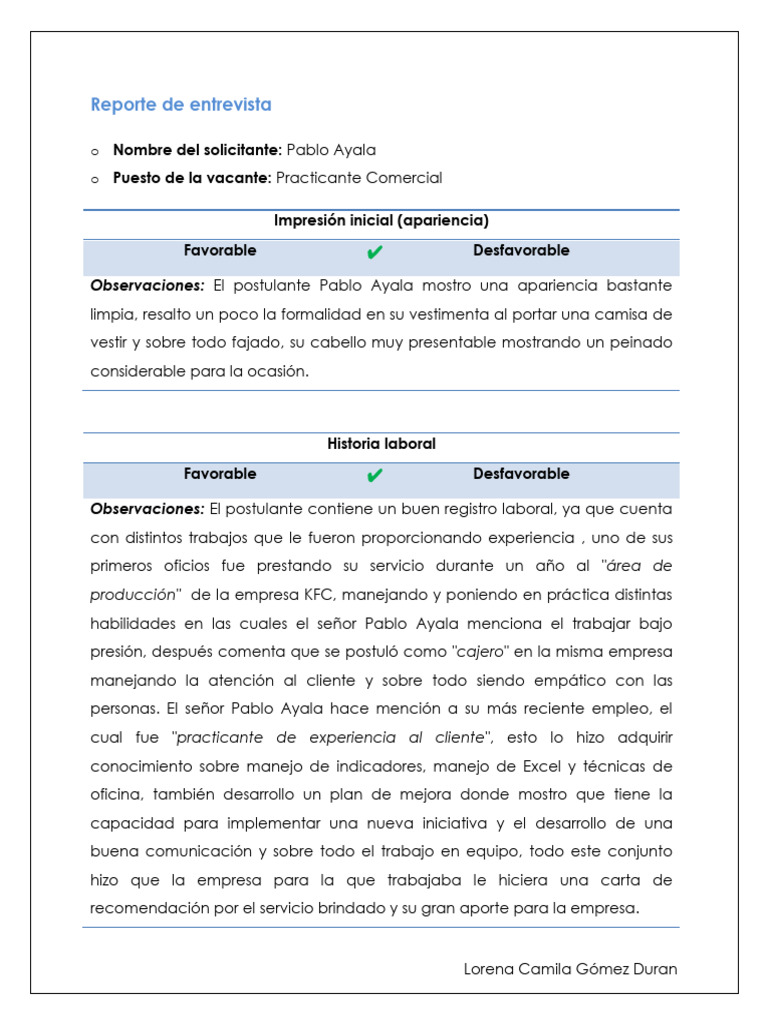 Reporte De Entrevista Pdf Business