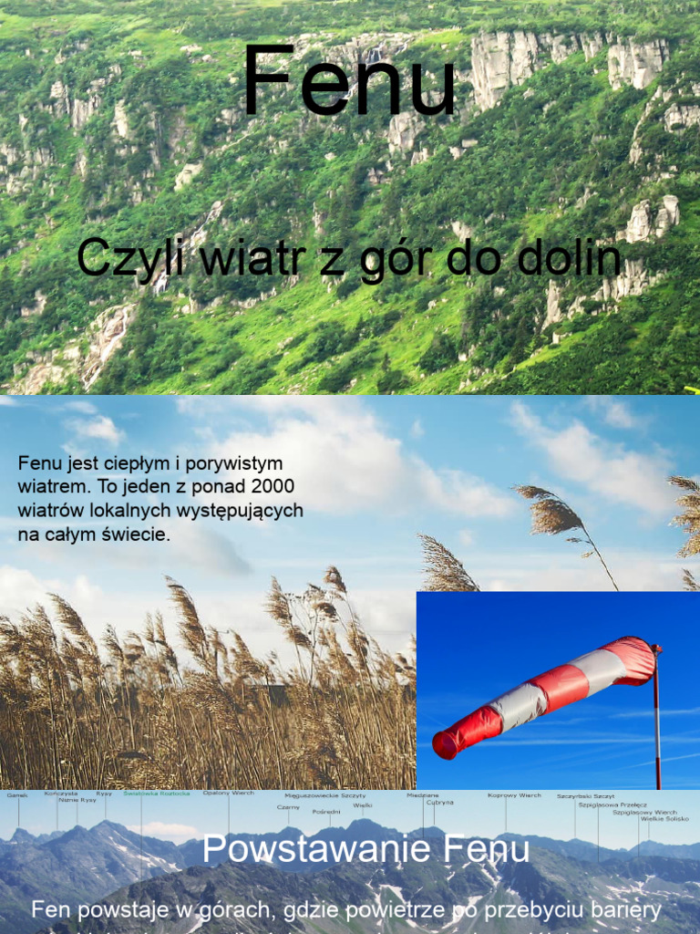 Fenu | PDF