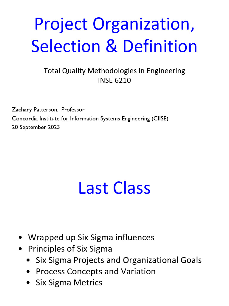 Proj Org Selection Defn | PDF | Lean Manufacturing | Six Sigma