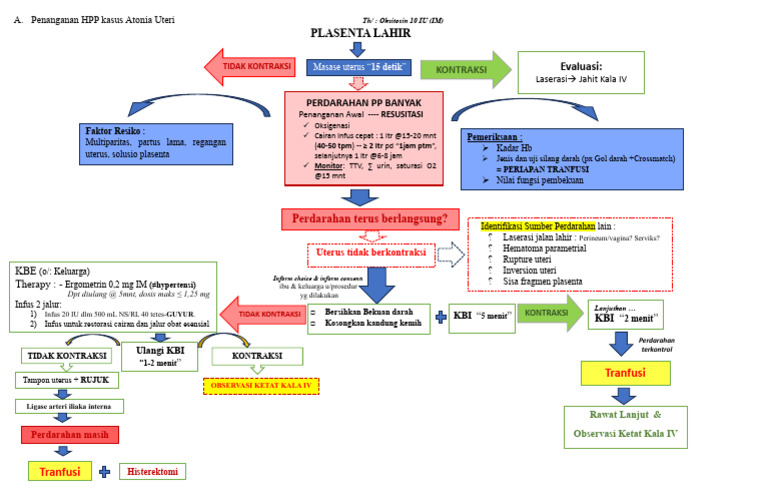 HPP Tatalaksana 1 | PDF