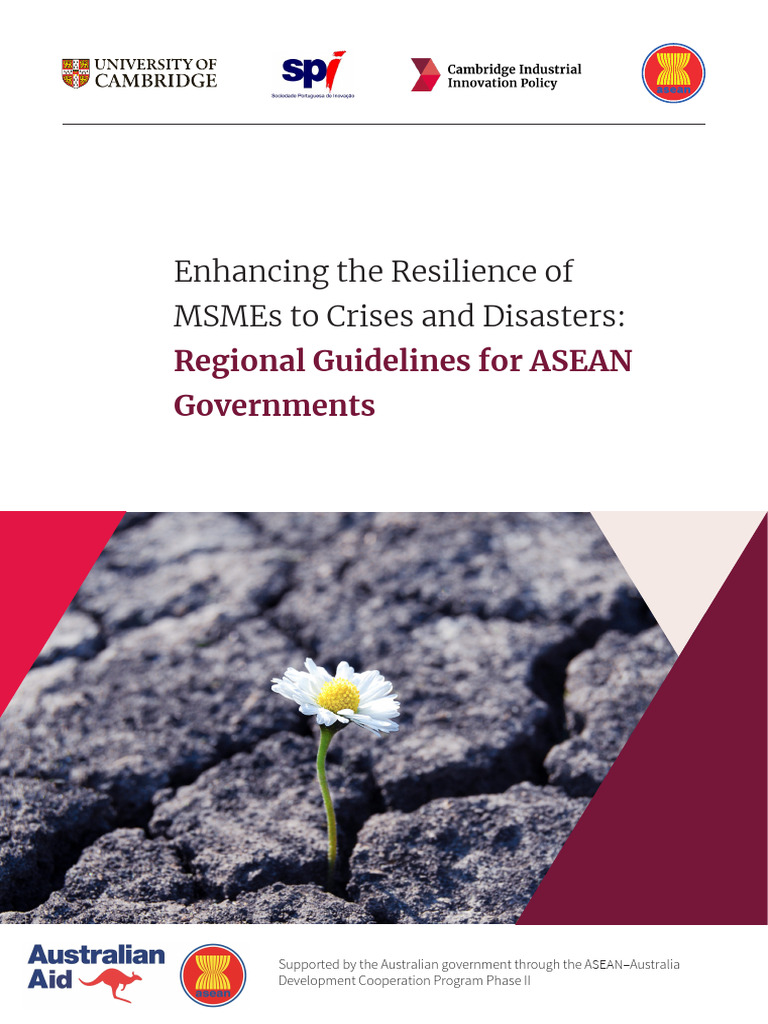 ASEAN MSME Resilience Guidelines | PDF | Small And Medium Sized ...