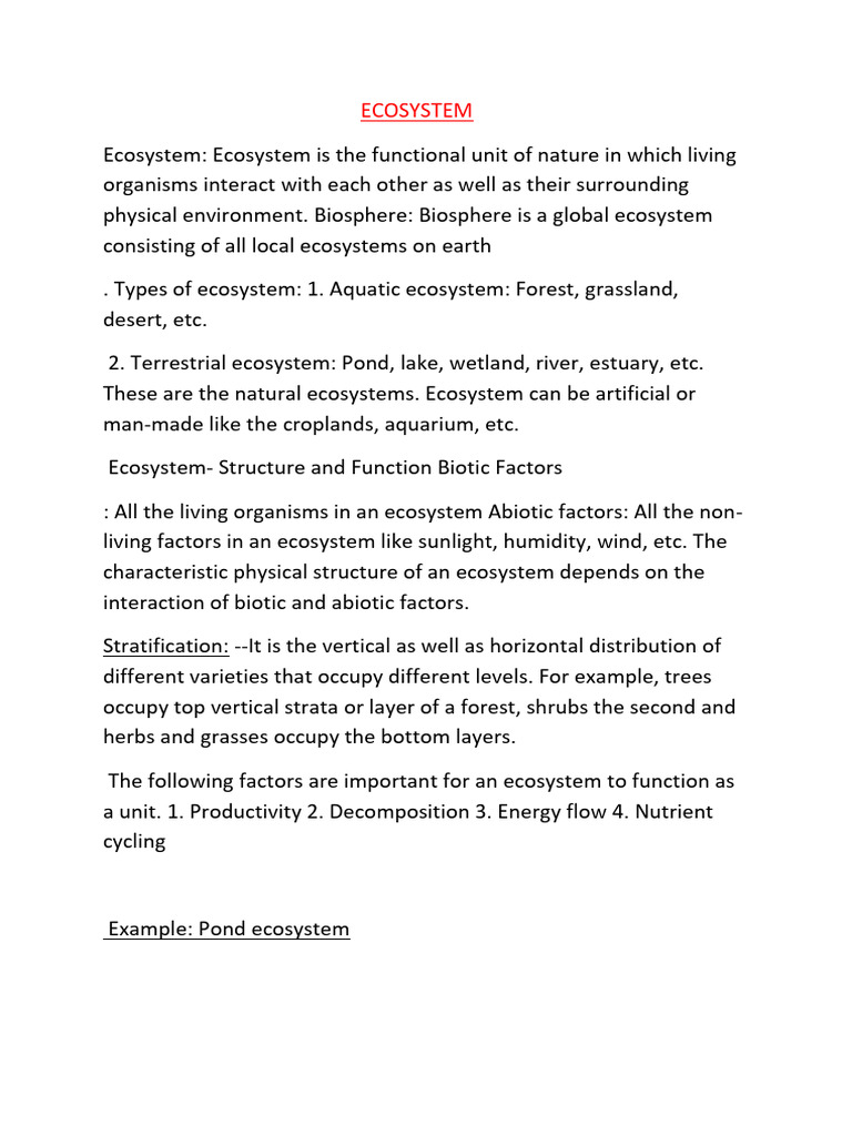 Ecosystem Notes | PDF | Food Web | Primary Production