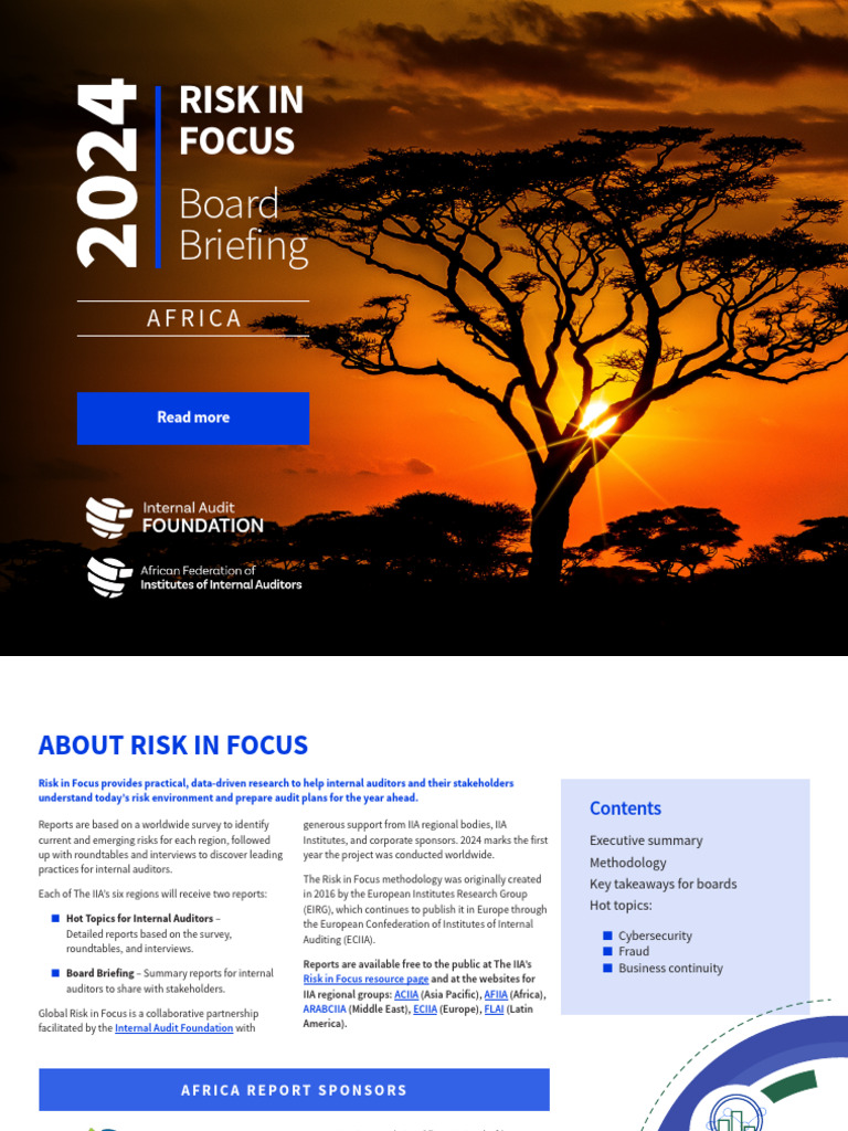 Africa Risk in Focus 2024 Board Briefing | PDF | Internal Audit | Audit