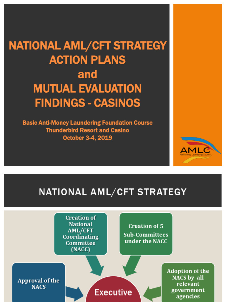 Mutual Evaluation | PDF | Money Laundering