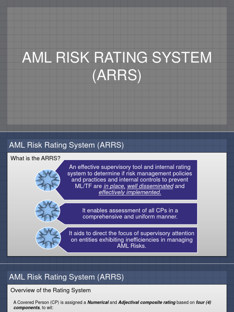 AML Risk Rating System Overview | PDF | Internal Control | Money Laundering