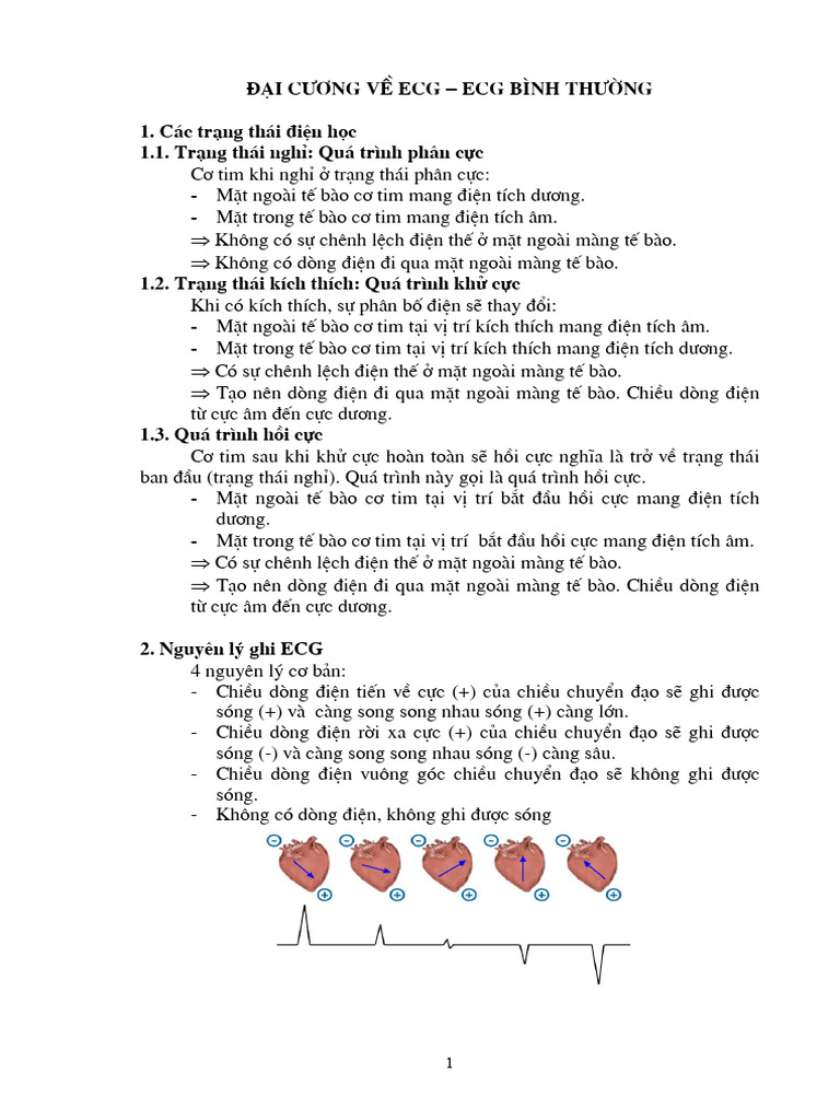 Bai Giang Dien Tim Co Ban | PDF | Electrocardiography | Physiology
