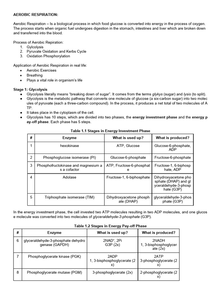 Group 5 - Aerobic Cellular Respiration | PDF | Adenosine Triphosphate ...