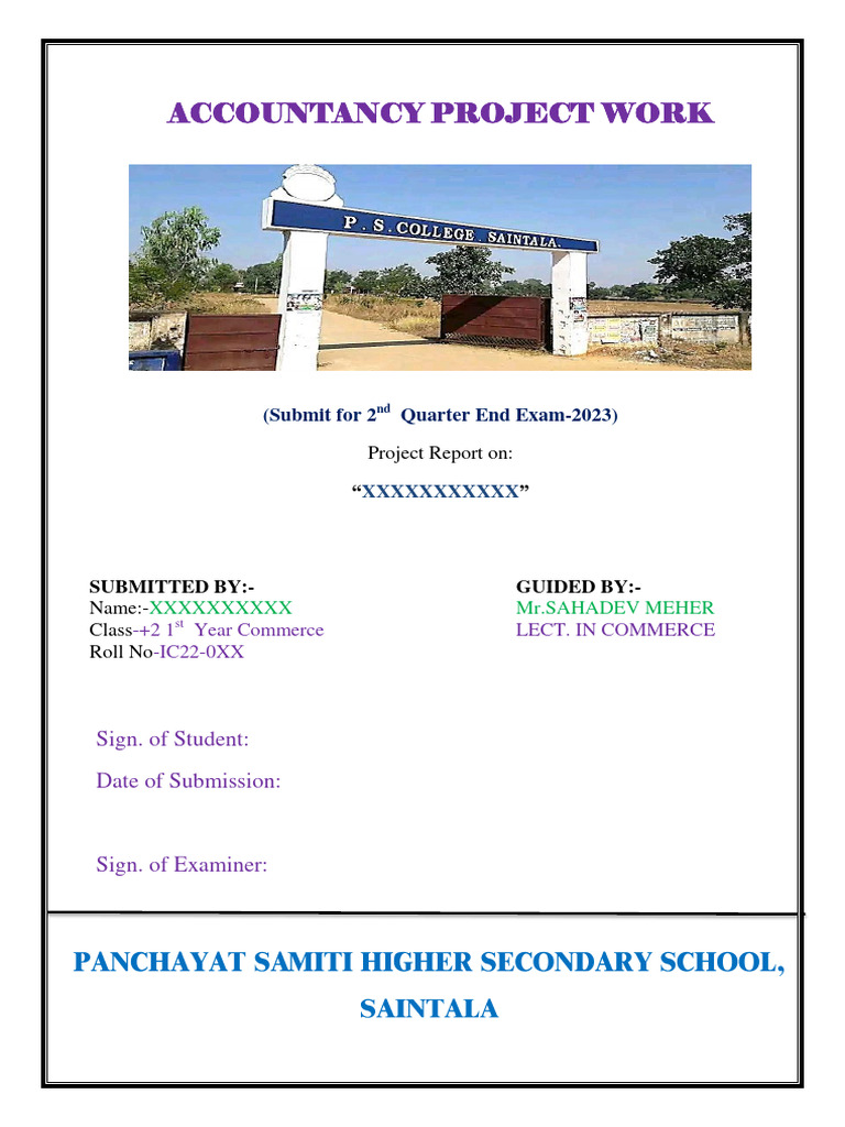 Accountancy Project Sample | PDF