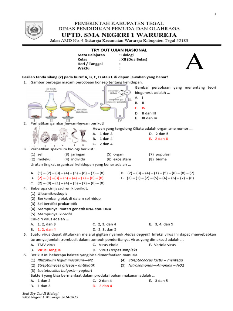Soal Try Out Ii Bio | PDF