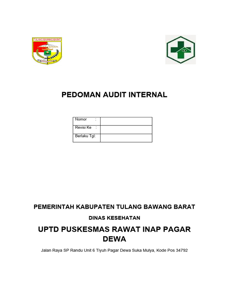 Pedoman Audit Internal | PDF