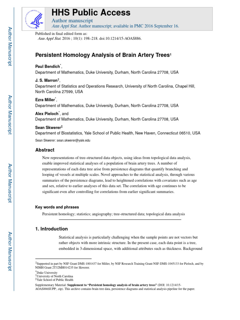 Brain - Persistent Homology Analysis of Brain Artery Trees | PDF ...