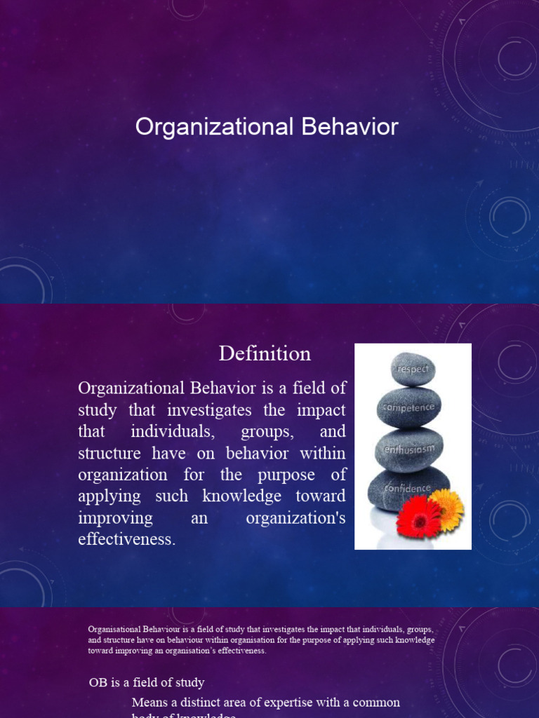 Chapter 1 | PDF | Organizational Behavior | Behavior