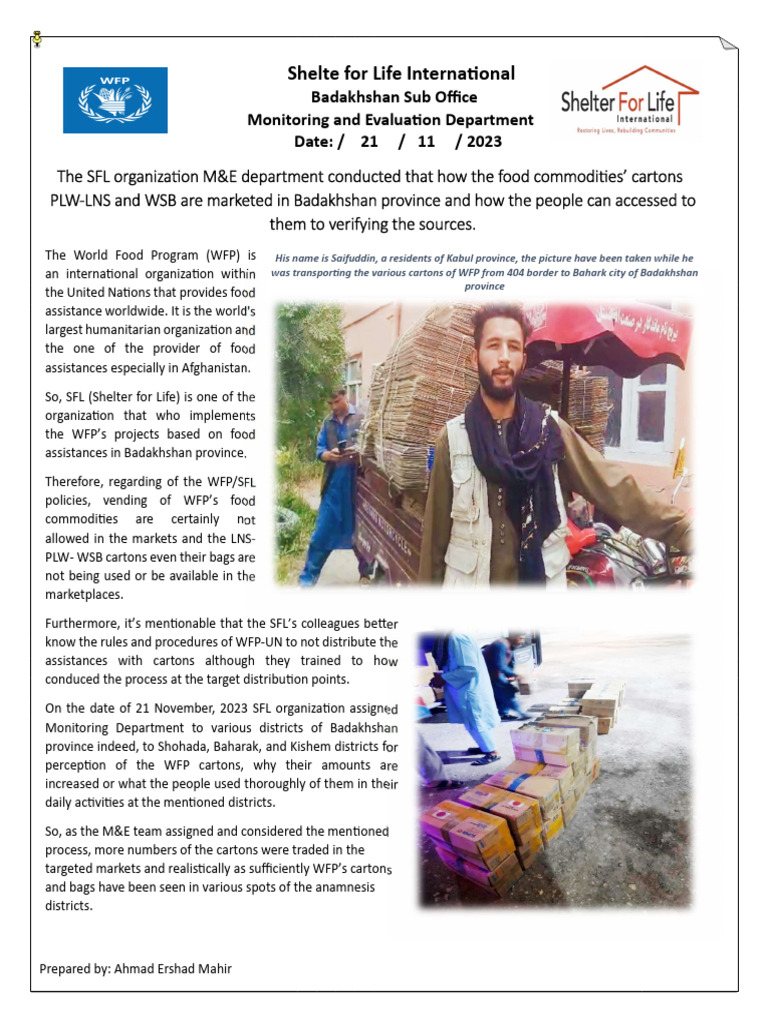 WFP's Cartons and Market Assessment Report | PDF