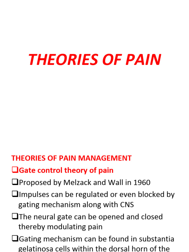 Pain Theories | PDF | Pain | Stimulus (Physiology)