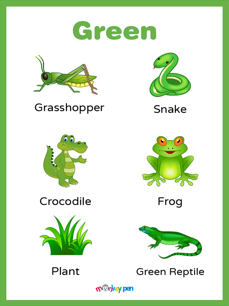 Green Colour Object Poster For Kids 1 | PDF | Science & Mathematics ...