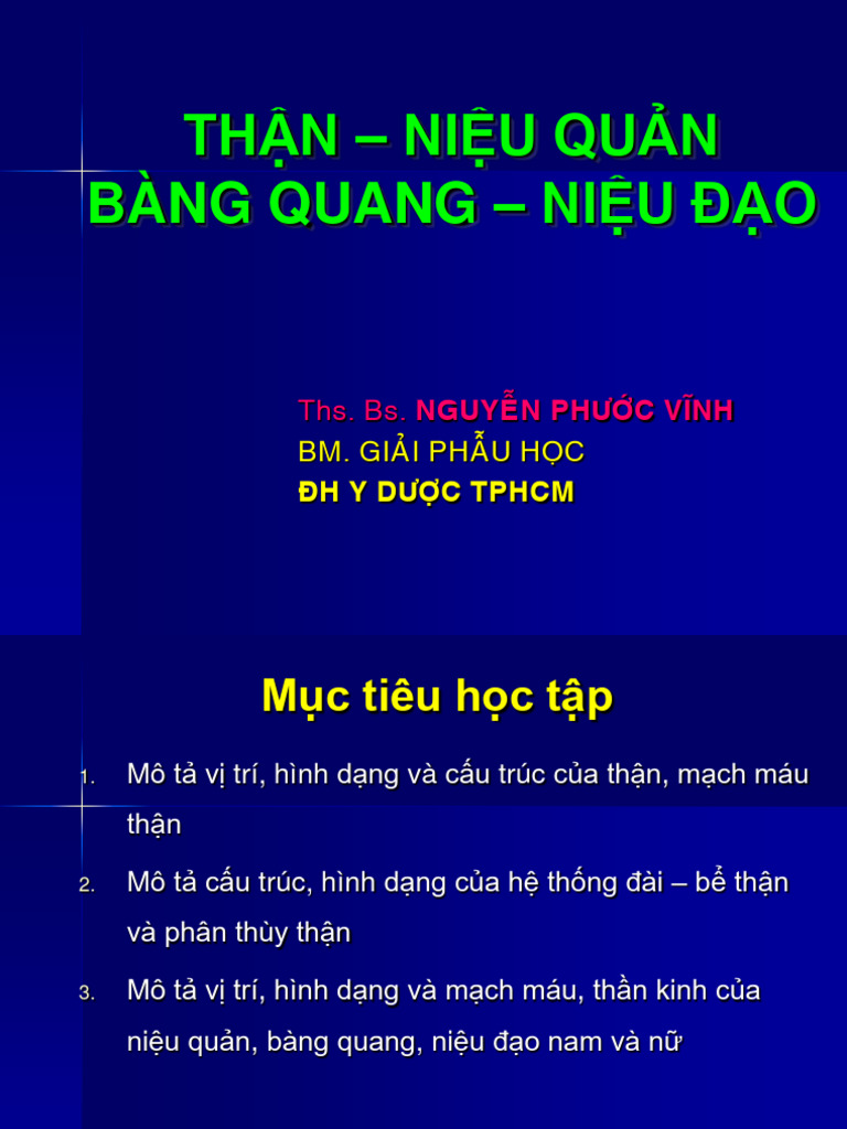 Giai Phau Than - NQ-BQ-ND | PDF