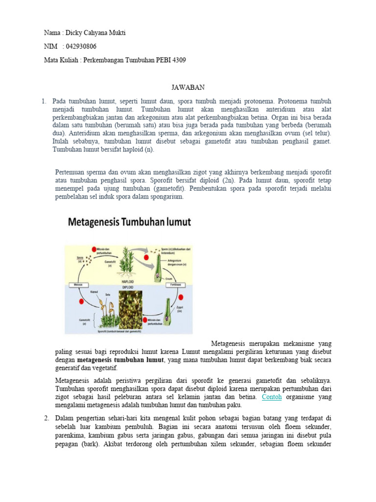 Tugas 1 Perkembangan Tumbuhan Pebi 4309 | PDF | Sains & Matematika