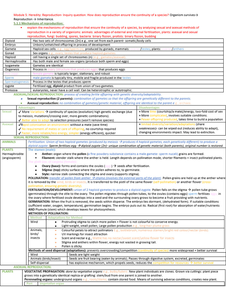 HSC Biology Module 5 Notes | PDF | Meiosis | Menstrual Cycle