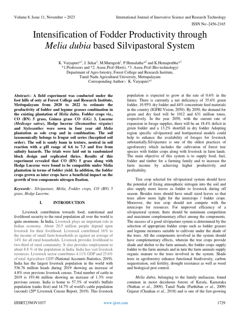Intensification of Fodder Productivity Through Melia Dubia Based ...