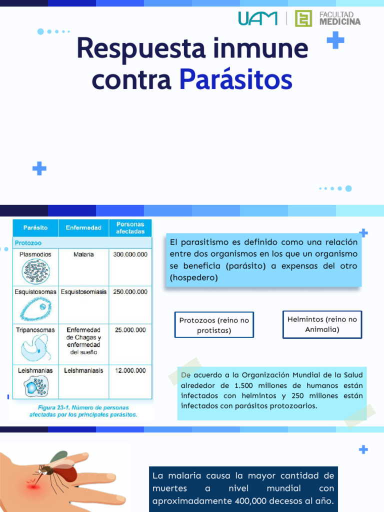 Expo-Respuesta Inmune Contra Parasitos | PDF | Sistema inmune | Citocina
