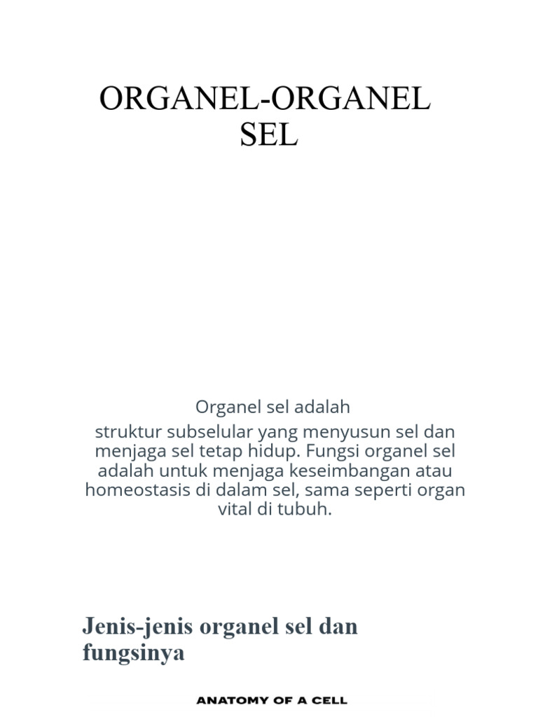 Jenis dan Fungsi Organel Sel | PDF | Griya & Taman | Kesehatan Holistik