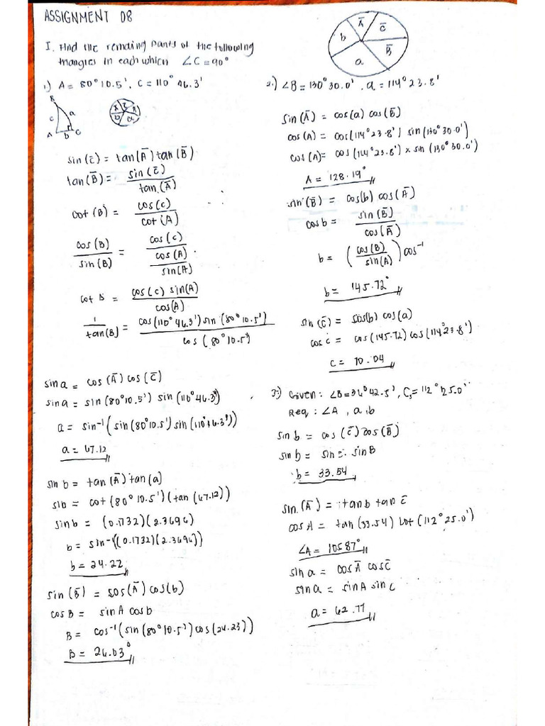 Exclusiveformasaowarriors Trigo | PDF